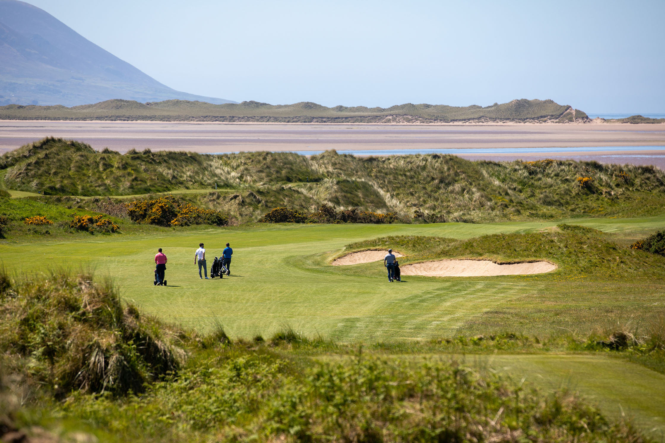 Book a Tee Time – Dooks Golf Club